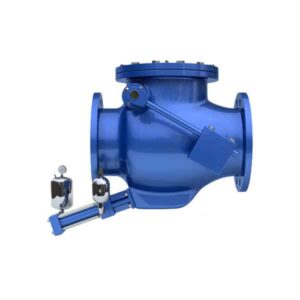 APCO Swing Check Valves (CVS-6000) - DeZURIK